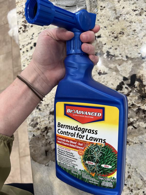 Bermudagrass Control Options for Reseeding