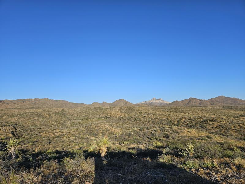 Vasque Torre AT GTX Hiking Boot - Men's - Footwear