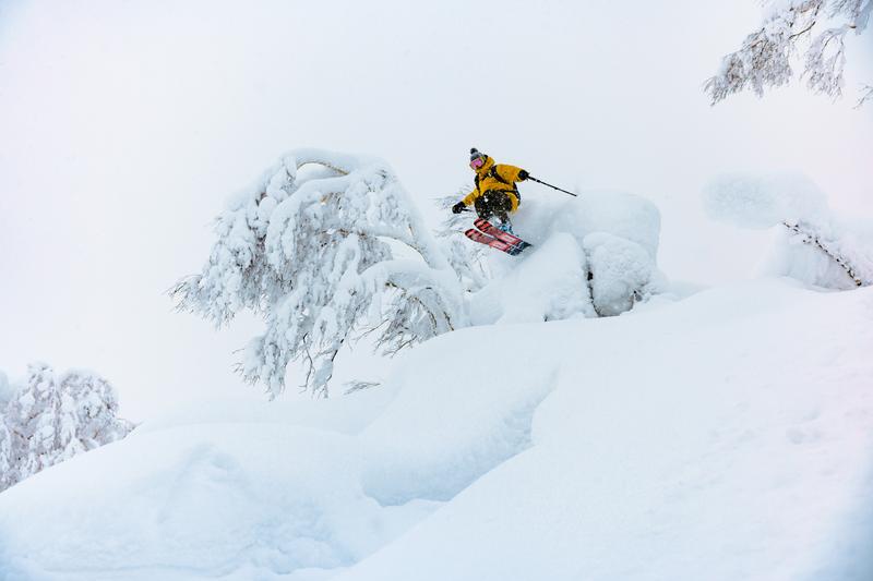 Armada ARV 116 JJ Ski - 2024 - Ski