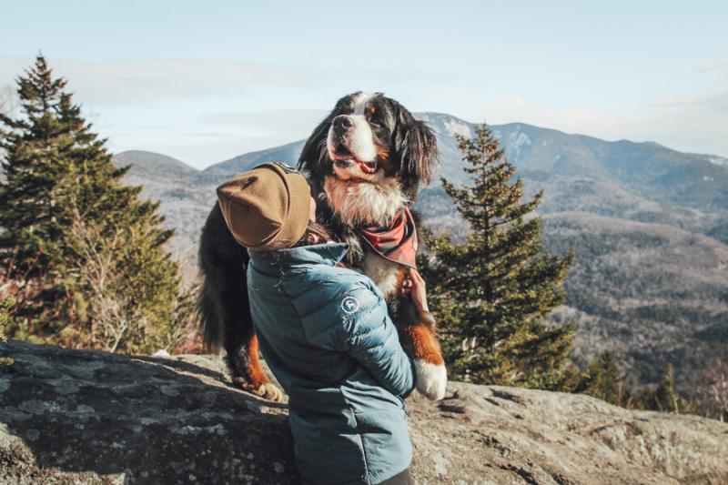 Backcountry Teo Hybrid Down Jacket - Past Season - Women's - Clothing