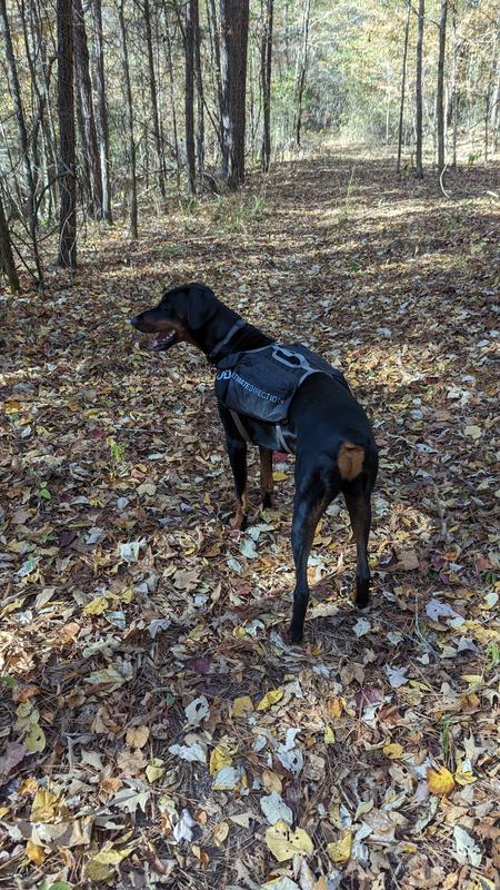 Ultimate Direction Dog Vest - Hike & Camp