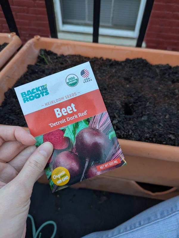 Back to the Roots Organic Rainbow carrot Seeds 1 Pack(s) in the ...
