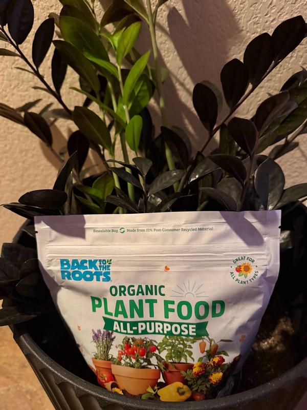 Back to the Roots 1.5-lb 2-3-3 Organic Natural All-purpose Food in the ...