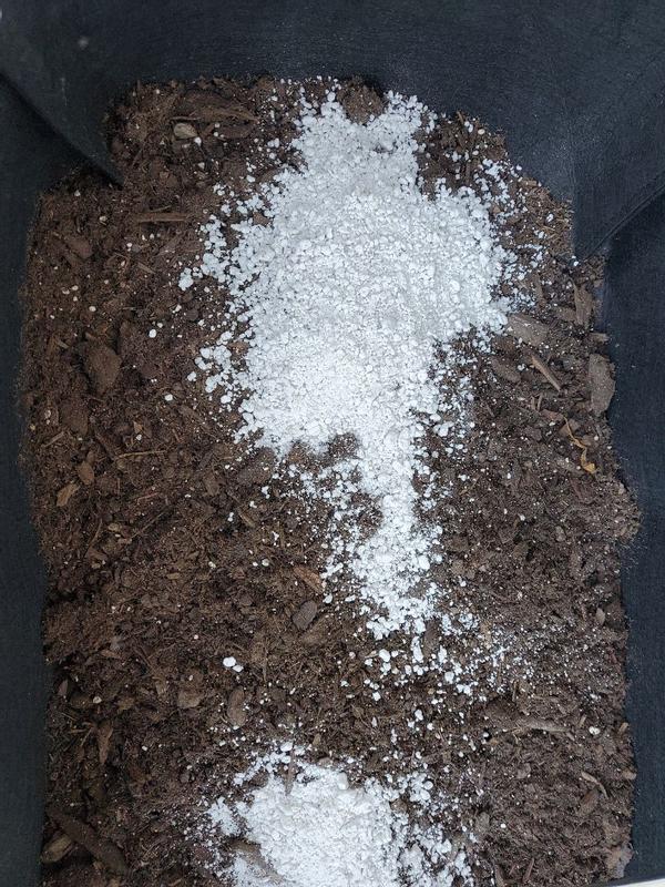 Back to the Roots Perlite 2CF in the Soil Amendments department at ...
