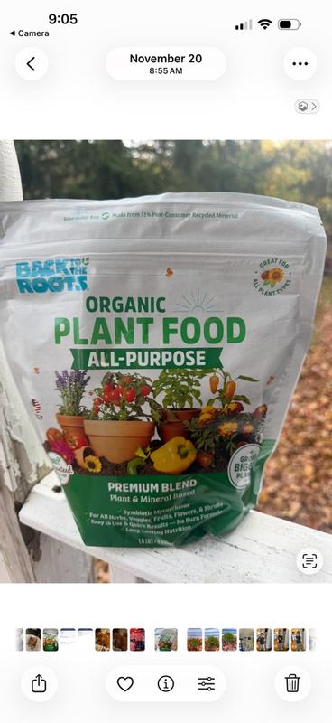 Back to the Roots 1.5-lb 2-3-3 Organic Natural All-purpose Food in the ...