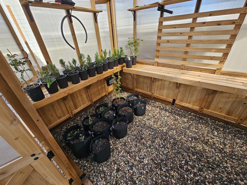 Backyard Discovery Poppy 9-ft L x 6-ft W x 8.5-ft H Brown Greenhouse ...