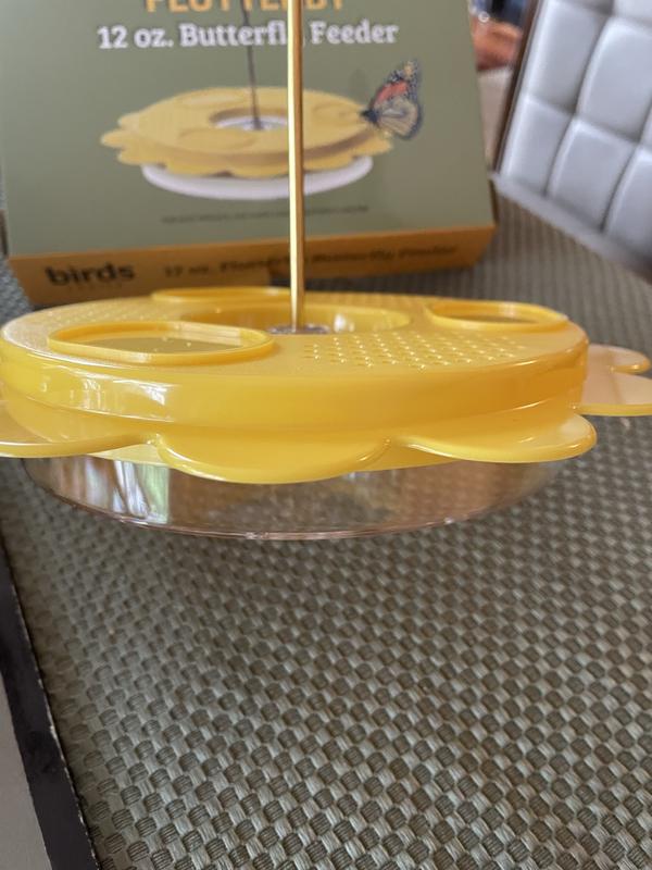 BIRDS CHOICE Flutterby Butterfly Feeder-12 Oz Polycarbonate Hanging ...
