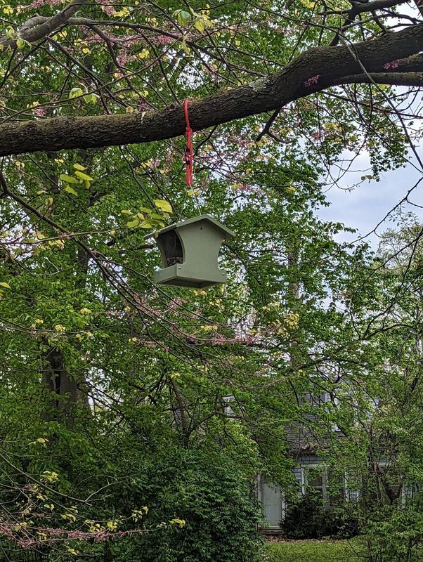 BIRDS CHOICE Modern Farmhouse Resin Hanging Hopper Bird feeder - 3-lb ...