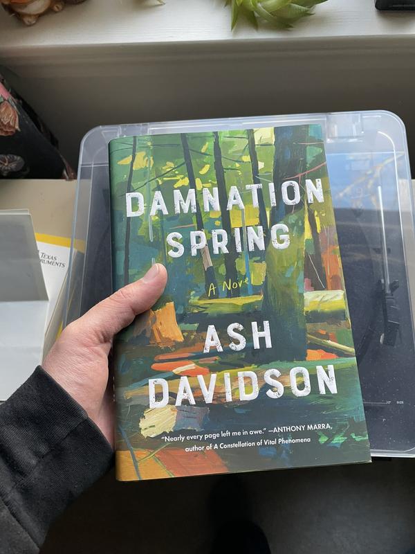 Damnation Spring by Ash Davidson - Macy's