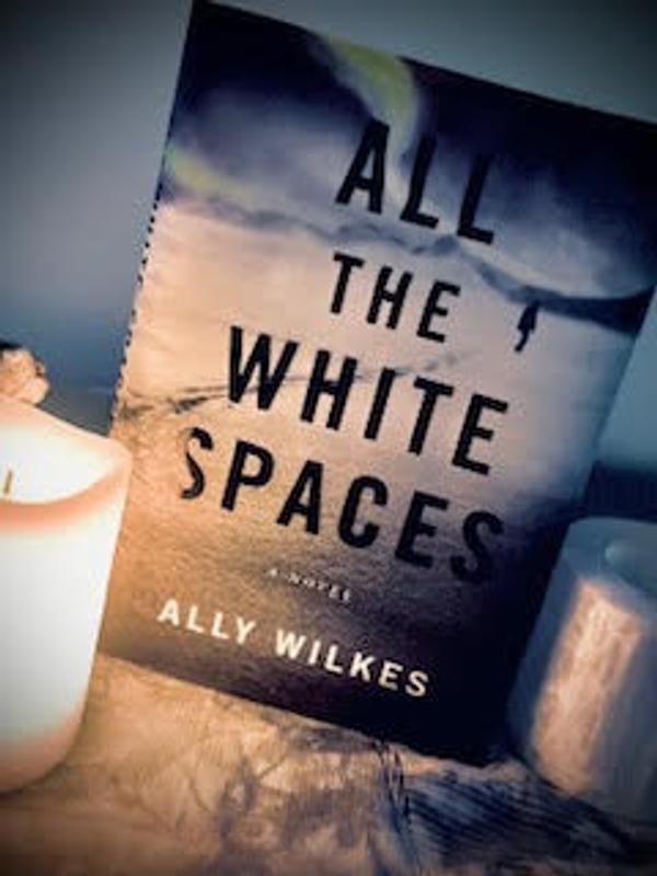 All The White Spaces: A Novel by Ally Wilkes - Macy's