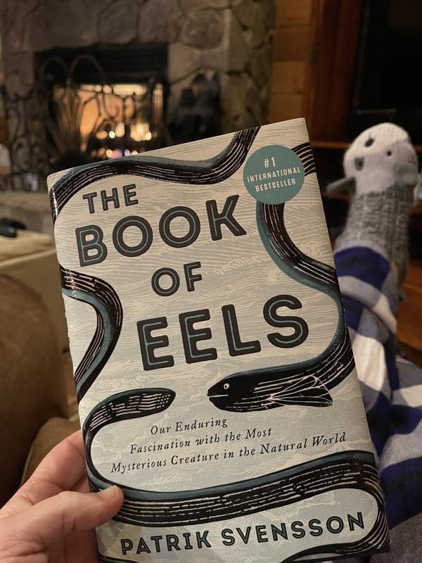 The Book of Eels - Our Enduring Fascination with the Most Mysterious ...