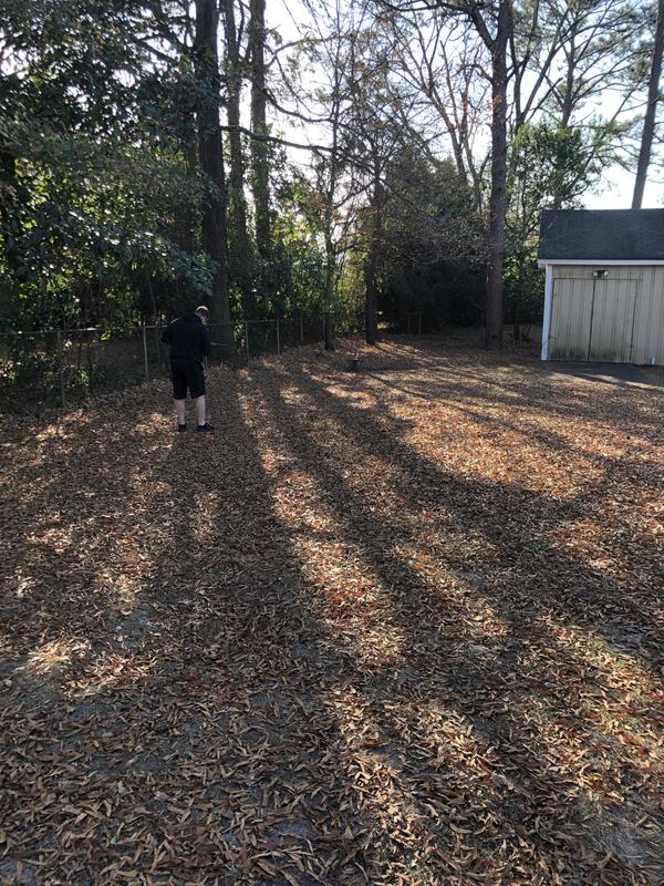 Barra Airguns .177 Caliber Sportsman 900 Multi-Pump Pneumatic Air Rifle ...