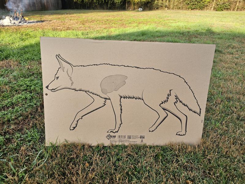 Barra Airguns .177 Caliber Sportsman 900 Multi-Pump Pneumatic Air Rifle ...