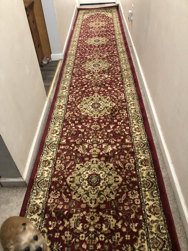 Emma + Oliver Zada Ultra Soft 3-ft x15-ft Olefin Accent Rug with ...