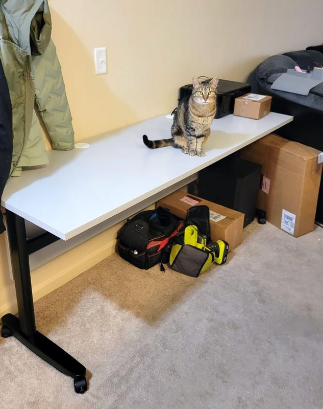 Flash Furniture Palmer Commercial Grade 72-in x 24-in Heavy-Duty ...