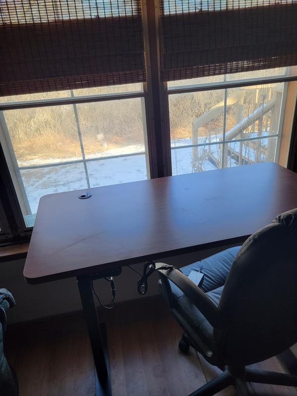 Emma + Oliver Electric Height Adjustable Standing Desk - 48-in Wide x ...