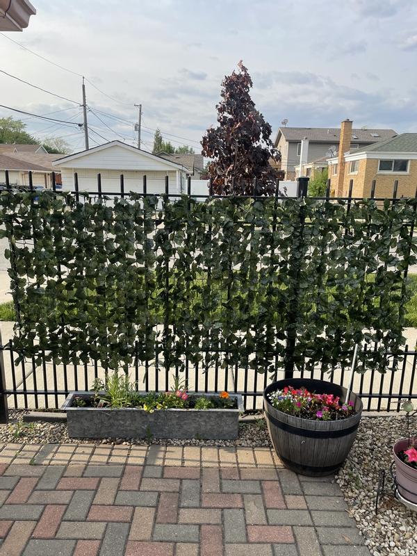 Best Choice Products Artificial Faux Ivy Hedge Privacy Fence Screen for ...
