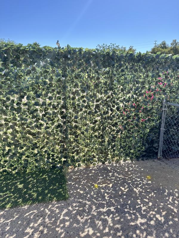 Best Choice Products 94x59in Artificial Faux Ivy Hedge Privacy Fence ...