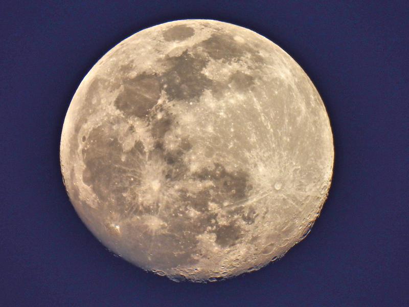 Nikon COOLPIX P950 Digital Camera Deluxe Kit B&H Photo Video