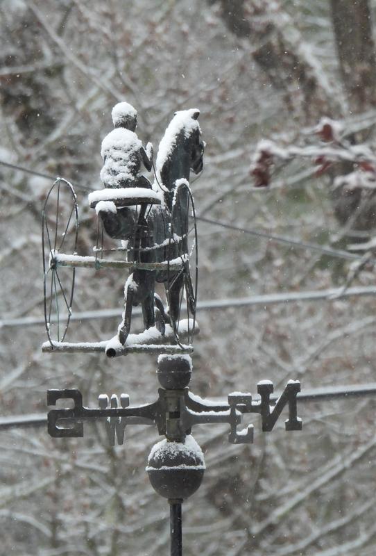 Nikon COOLPIX P950 Digital Camera Deluxe Kit B&H Photo Video