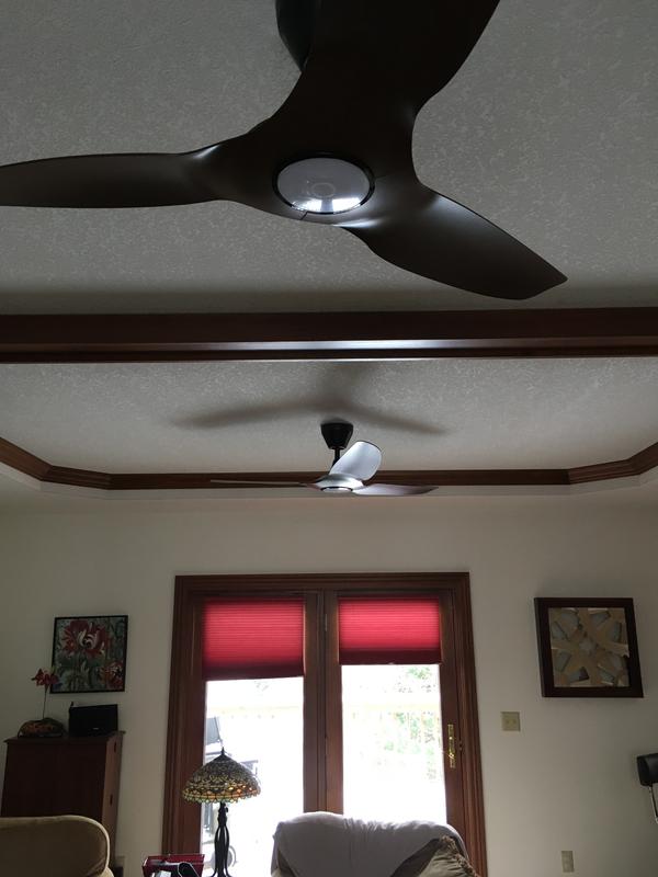 Haiku Ceiling Fan Light Review | Shelly Lighting
