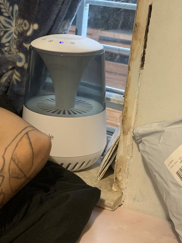 Hubble Connected Hubble Pure 3 in 1 Air Purifier HCPPURE at Lowes.com