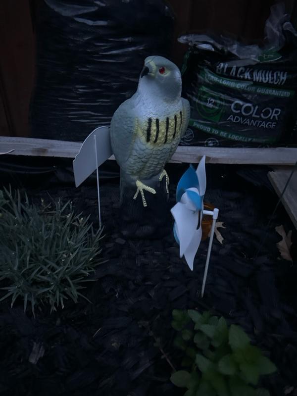 Bird-X 7 in. Peregrine Falcon Decoy at Tractor Supply Co