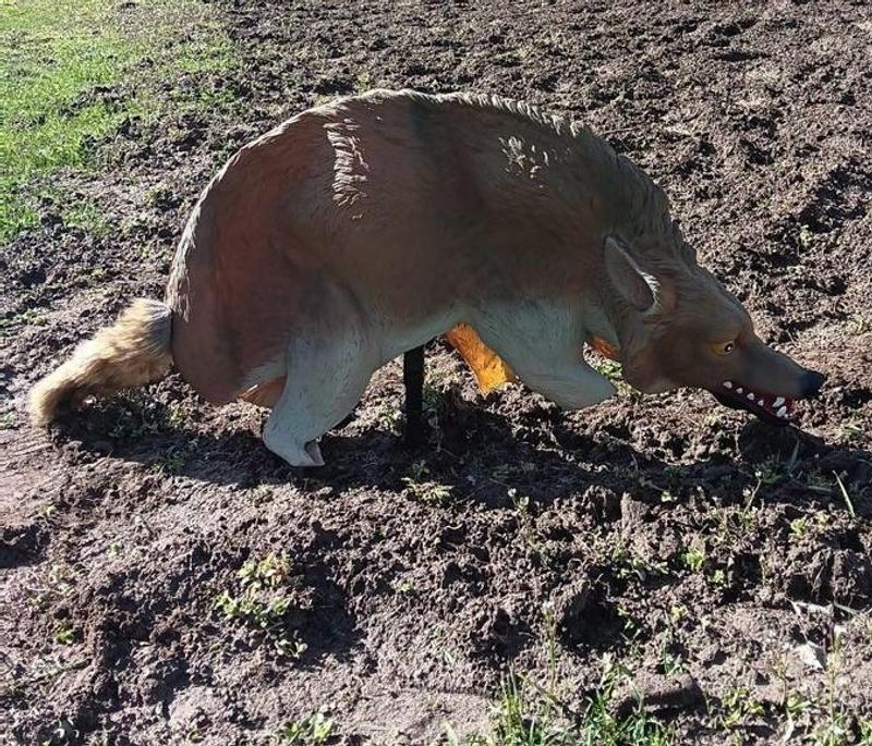 Bird-X 30 in. 3D Coyote Decoy, Lifelike Predator at Tractor Supply Co