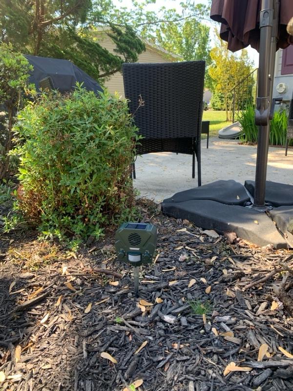 Bird-X Solar Yard Gard Animal Repeller for Deer, Rabbits, Raccoons ...