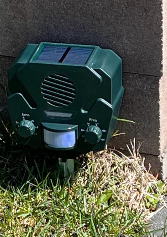 Bird-X Solar Yard Gard Animal Repeller for Deer, Rabbits, Raccoons ...