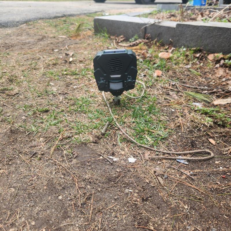 Bird-X Solar Yard Gard Animal Repeller for Deer, Rabbits, Raccoons ...