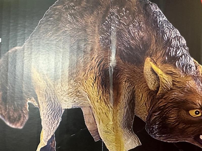 Bird-X 30 in. 3D Coyote Decoy, Lifelike Predator at Tractor Supply Co