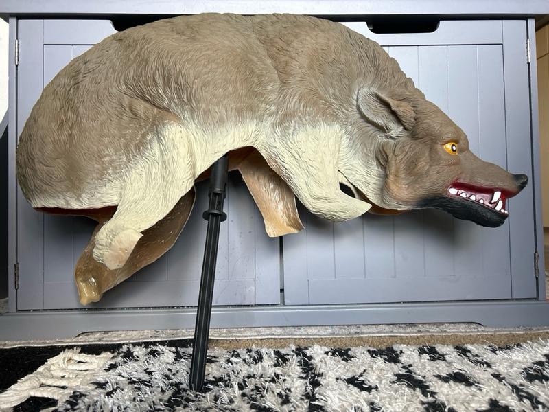 Bird-X 30 in. 3D Coyote Decoy, Lifelike Predator at Tractor Supply Co