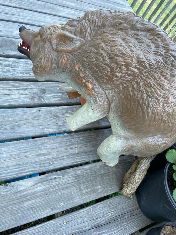 Bird-X 30 in. 3D Coyote Decoy, Lifelike Predator at Tractor Supply Co