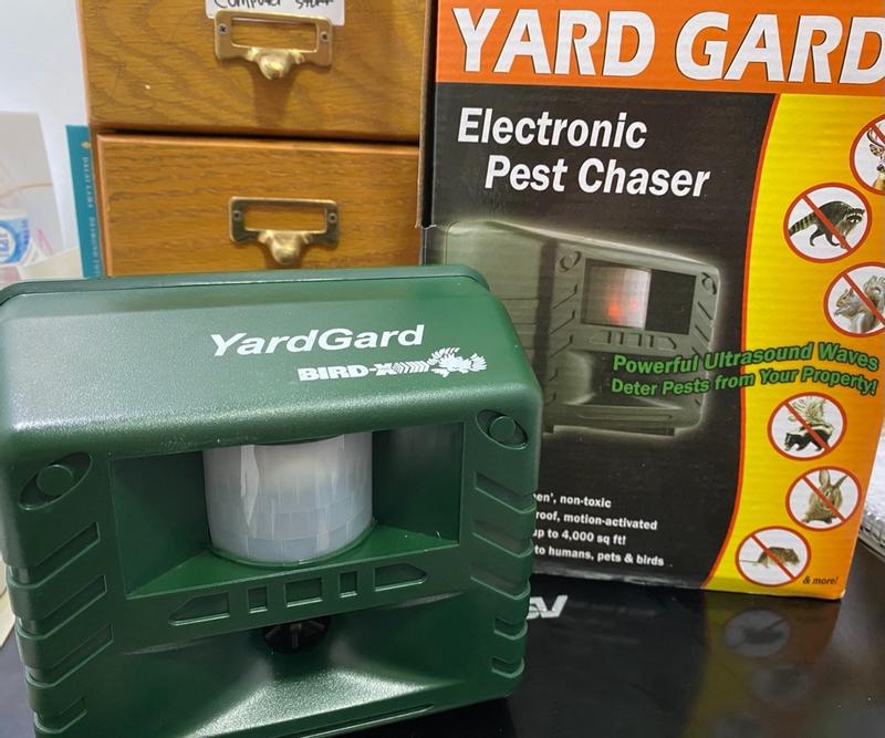 Bird-X Yard Gard Ultrasonic Electronic Deer, Rabbit, Raccoon, Squirrel ...