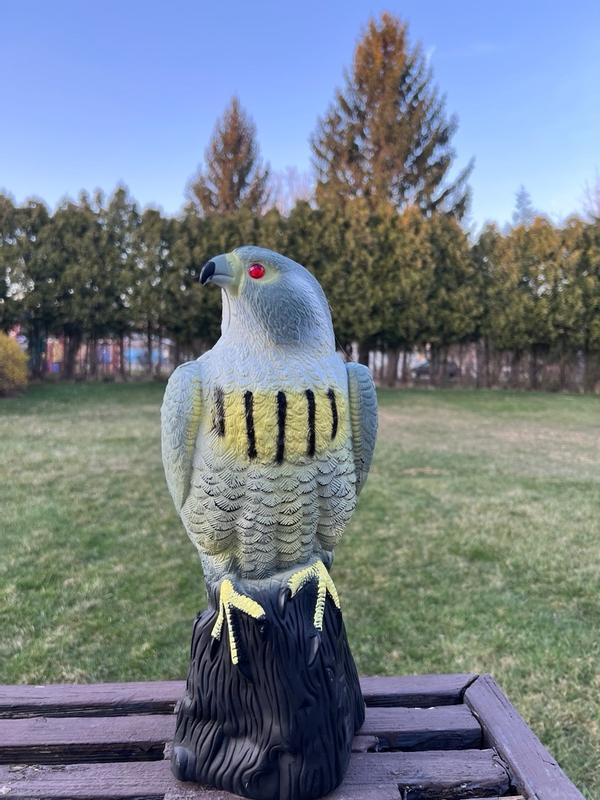 Bird-X 7 in. Peregrine Falcon Decoy at Tractor Supply Co