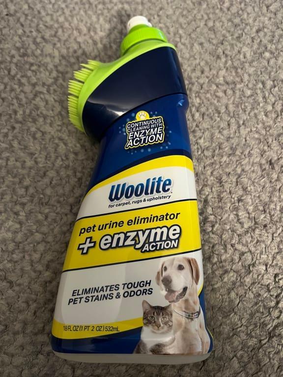 Woolite Carpet Cleaner Liquid 18-oz 3773 at Lowes.com
