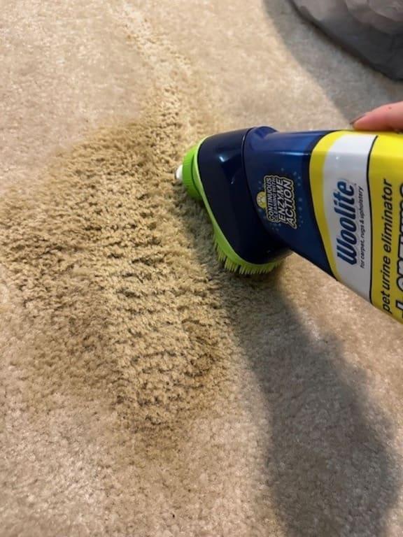 Woolite Carpet Cleaner Liquid 18-oz 3773 at Lowes.com