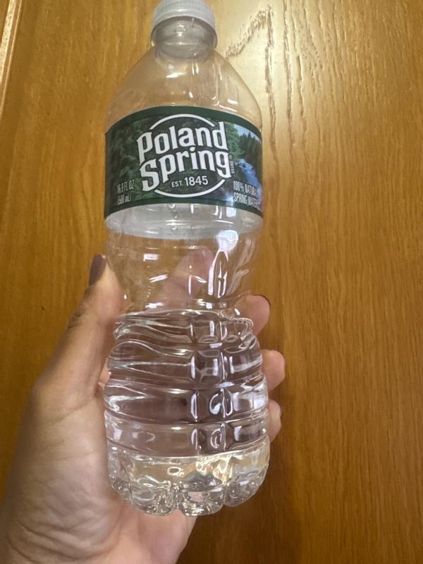 Primo 320-fl oz Spring Bottled Water in the Water department at Lowes.com