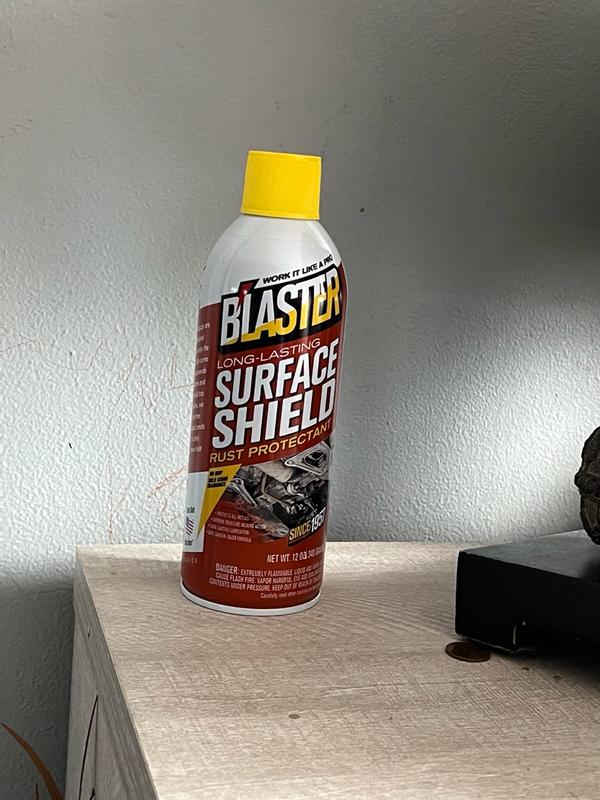 Blaster 12 Ounce(s) Rust inhibitor in the Hardware Lubricants ...