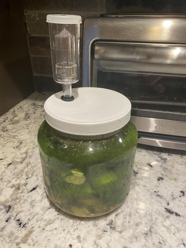 FarmSteady Brooklyn Brew Shop Pickle Making Kit | Bloomingdale's