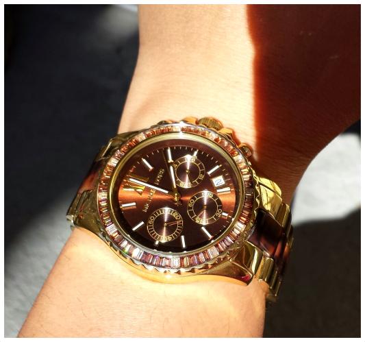 Michael Kors Women's Chronograph Everest Tortoise Acetate and Gold-Tone ...