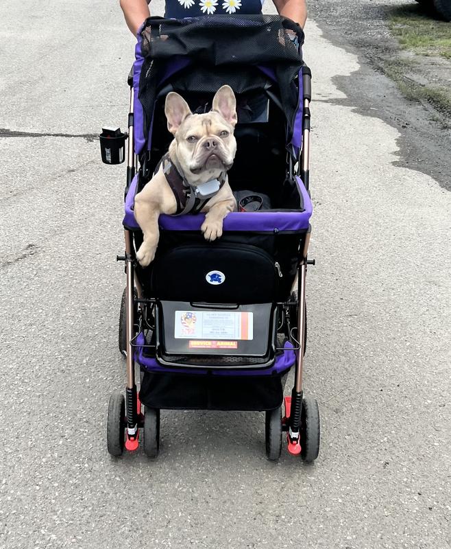 HPZ Pet Rover Pet Rover Extra Long Expandable Stroller | Bloomingdale's