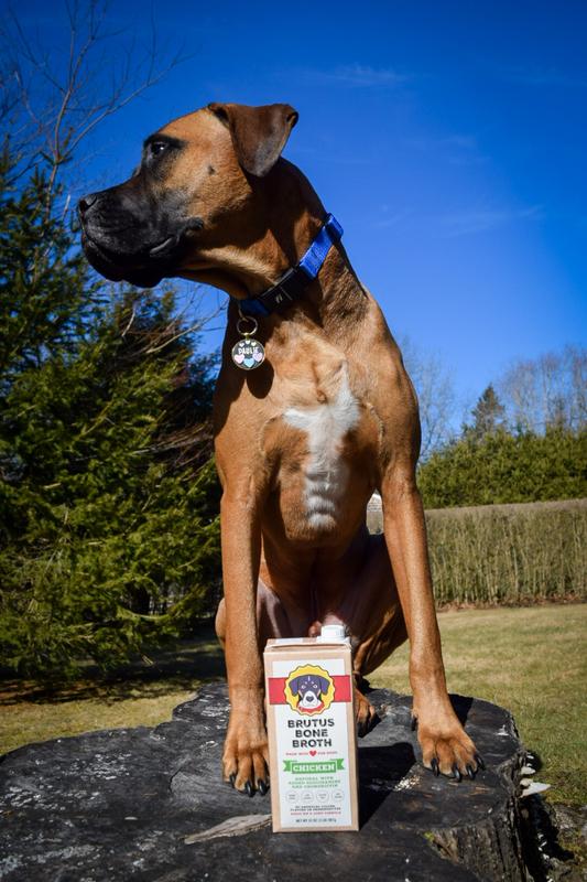 Brutus Bone Broth Chicken Hip & Joint Dog Food Topper for Dogs, 32 oz ...