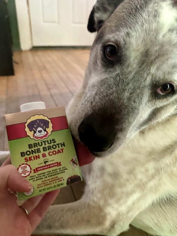 Brutus Bone Broths Vegetable Skin & Coat for Dog Food, 16.9 oz. | Petco