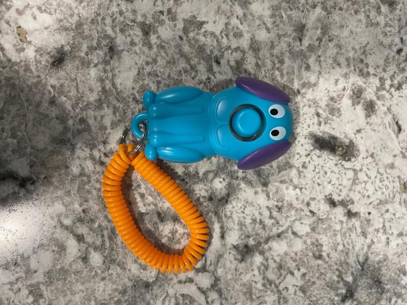 Brightkins Smarty Pooch Training Clicker Hot Dog | Petco