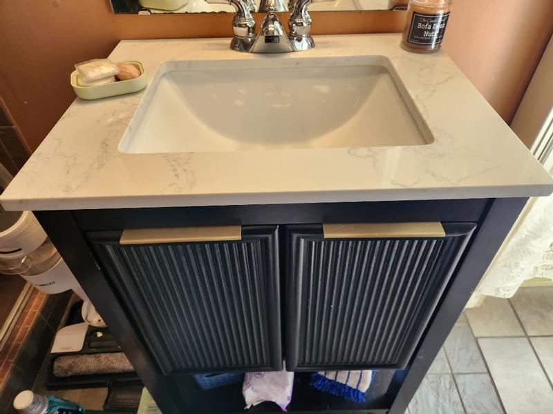 Bush Furniture Camille 24-in Onyx Birch Single Sink Bathroom Vanity ...