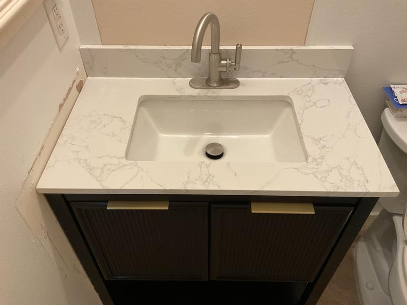 Bush Furniture Camille 32-in Onyx Birch Single Sink Bathroom Vanity ...