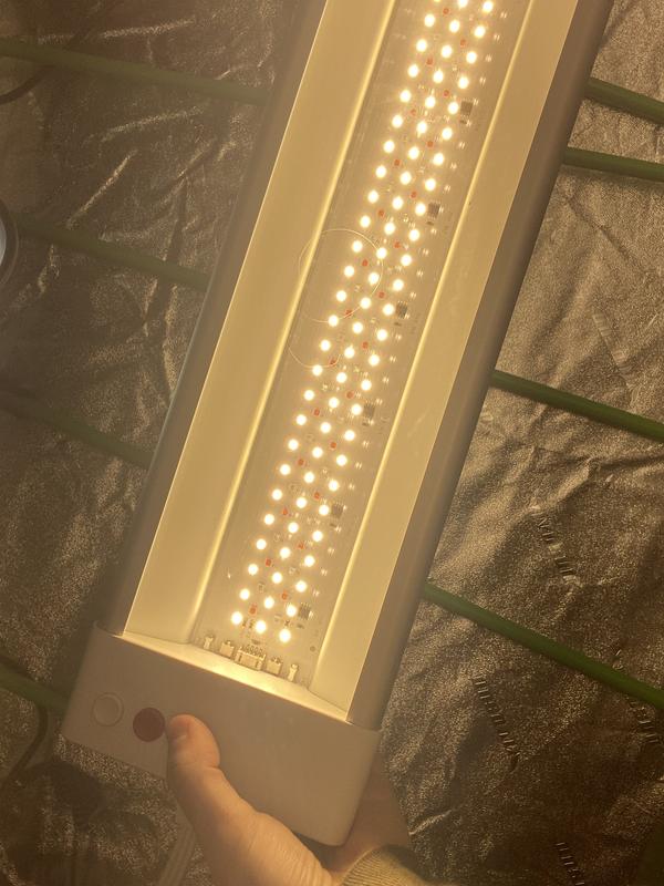 Good Earth Lighting 46-in 1 -Light Silver 182 -Watt Selectable spectrum ...