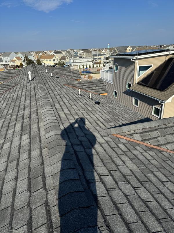 GAF Camelot II Antique Slate Algae Resistant Architectural Roof ...